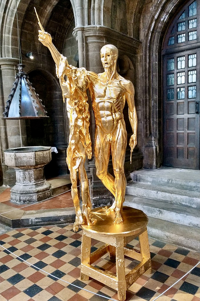 The Skinless Saint – CATHOLIC RELIGION TEACHER