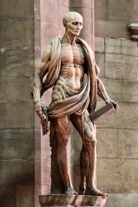 The Skinless Saint – CATHOLIC RELIGION TEACHER