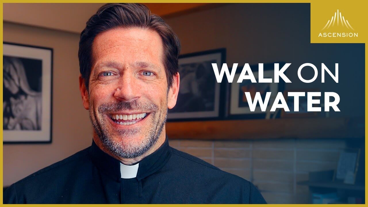 Fr. Mike Schmitz – CATHOLIC RELIGION TEACHER